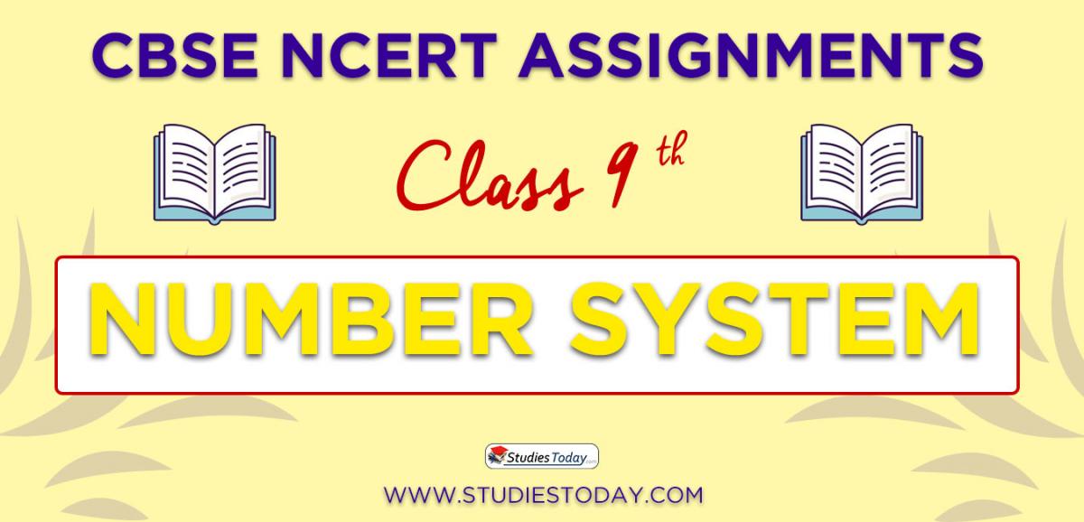 Assignments For Class 9 Number System PDF Download